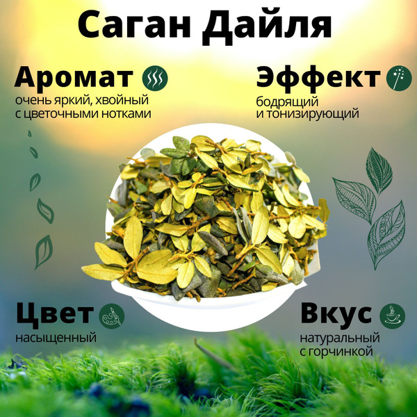 Чай травяной Саган Дайля, Дали листовой 60 грамм (Рододендрон Адамса ...