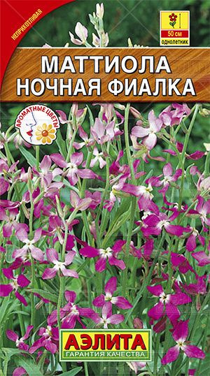 АЭлита Маттиола - купить по выгодным ценам в интернет-магазине OZON ...
