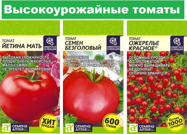 Томаты Семена Алтая Томат Йетина мать плюс Семен плюс Ожерелье - купить ...