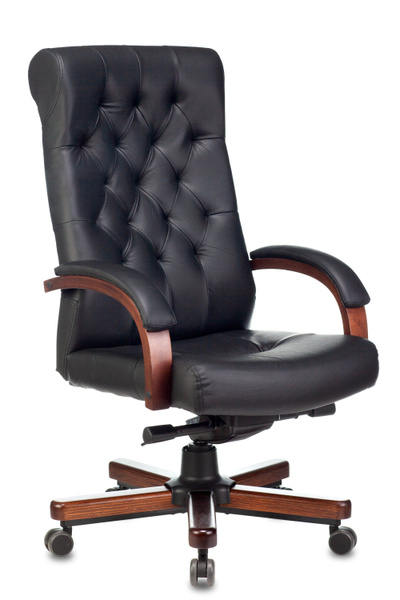 Кресло руководителя Бюрократ T-9928WALNUT, Экокожа, Натуральная кожа ...