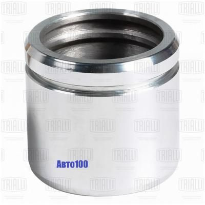Поршень суппорта передний для а/м VW Transporter T5 (03-) d-60mm (RCF ...