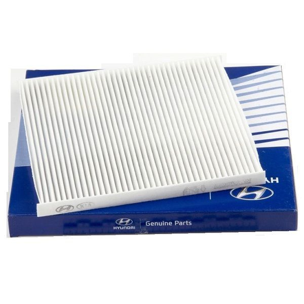 Фильтр салонный Hyundai-KIA 971334L000 - купить по выгодным ценам в ...