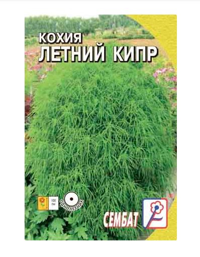 Сембат Кохия - купить по выгодным ценам в интернет-магазине OZON ...