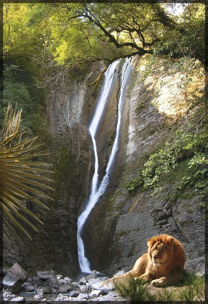 Фотообои глянцевые на стену Львиное царство 134*196 см 4 листа - купить по выгодной цене в ...