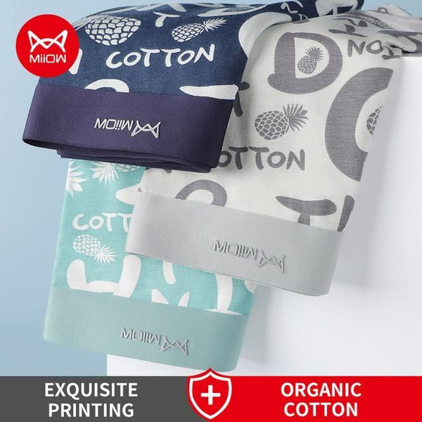 Комплект трусов брифы Miiow, 3 шт купить на OZON по низкой цене (979434757)