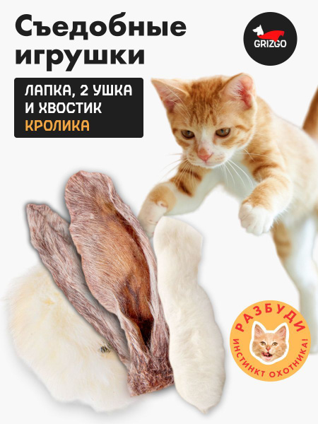 Набор Съедобные игрушки - купить с доставкой по выгодным ценам в ...