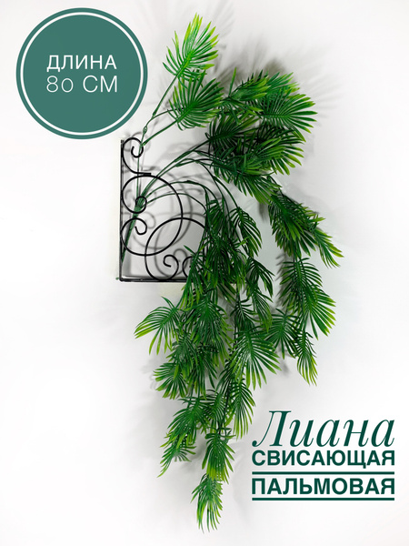 Купить Лиана для декора свисающая зелень ампельная монстера по выгодной цене в интернет магазине