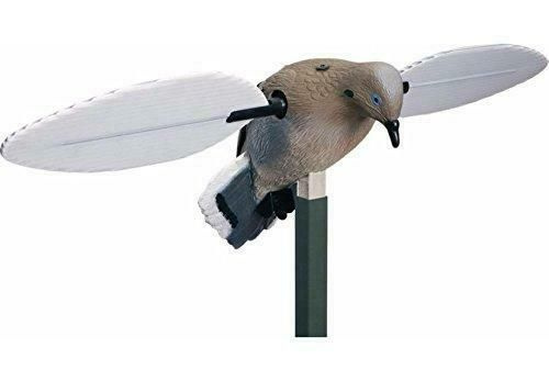 Механическое чучело Mojo Voodoo Dove Горлица - купить с доставкой по ...