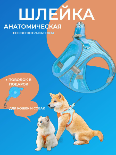Анатомическая шлейка с поводком для кошек и собак - купить с доставкой ...