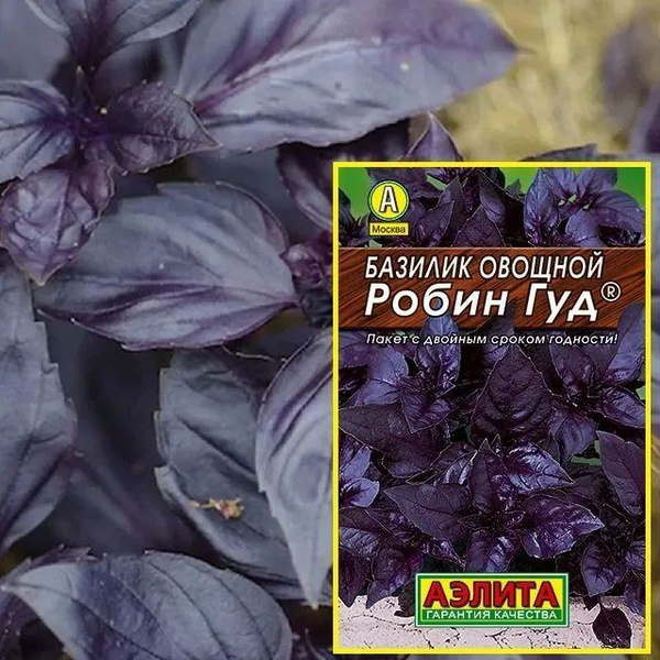 Базилик, Пряные травы Агрофирма Аэлита 77 - купить по выгодным ценам в ...