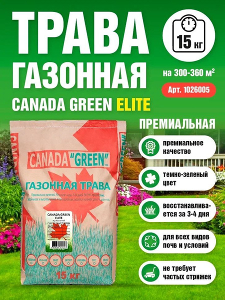 Газонные травы, Различные травы Canada Green Газон Премиум - купить по ...