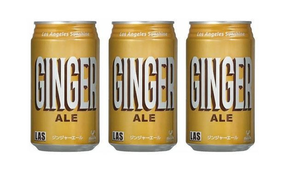 Газированный напиток Tominaga Kobe Kyoryuchi Ginger Ale / Томинага Имбирный Эль, 3 * 350 мл ...