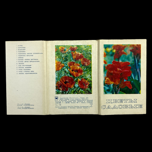 Набор открыток СССР. "Цветы садовые" 1972 год. 15 штук - купить с доставкой по выгодным ценам в ...