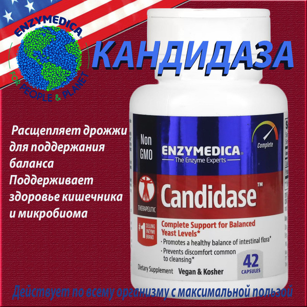 Кандидаза Candidase Enzymedica Ферменты Энзимы 42 капсулы премиум ...