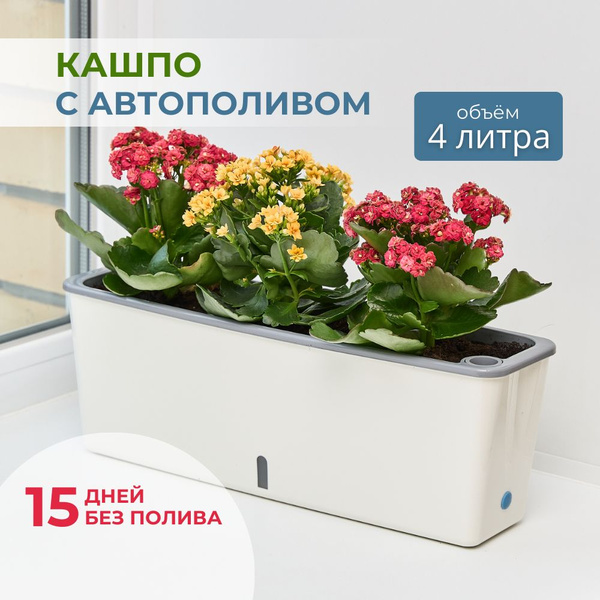 Горшки для цветов, кашпо с автополивом, горшок длинный пластиковый ...