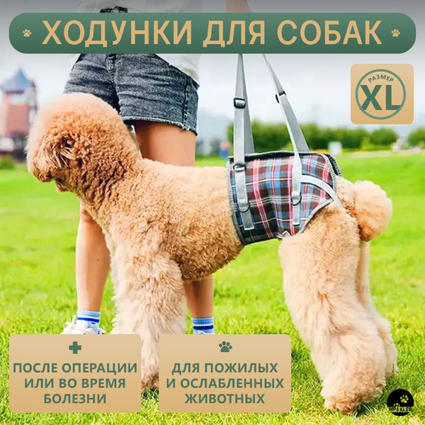 Ходунки для собак. Задняя часть, размер XL. - купить с доставкой по ...