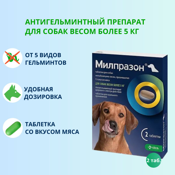 Таблетки KRKA Милпразон антигельминтик для собак более 5 кг, 2 табл ...