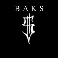 BAKS — купить товары BAKS в интернет-магазине OZON