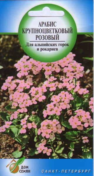 Многолетники для альпийской горки, Многолетние декоративные травы Дом ...