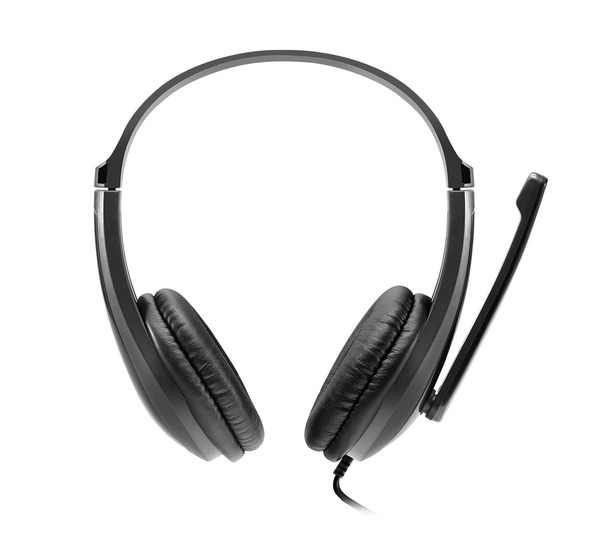 Наушники Накладные Canyon CHSU-1 (CNS-CHSU1B), с микрофоном и USB ...