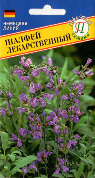 Шалфей Престиж семена пр1-405405-1 - купить по выгодным ценам в ...