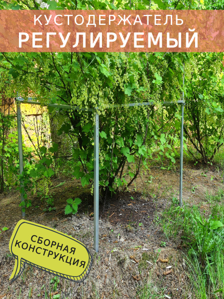 Опора оцинкованная для малины / кустодержатель / кустодержатель для ...