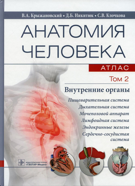 Анатомия человека Атлас В 3 т Т 2 Внутренние органы Учебное
