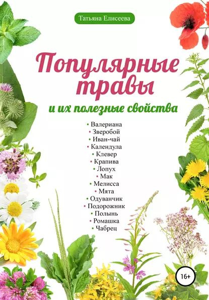 Популярные травы и их полезные свойства | Елисеева Татьяна ...