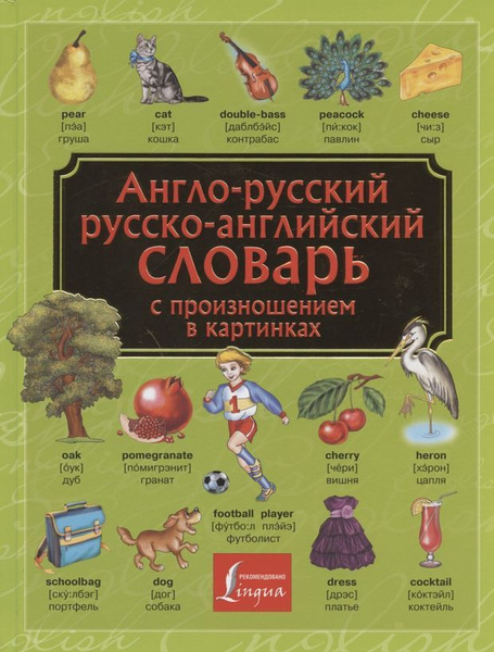 Англо-русский. Русско-английский словарь с произношением в картинках ...