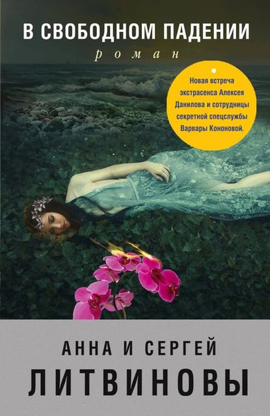 В свободном падении | Литвиновы Анна и Сергей | Электронная книга ...