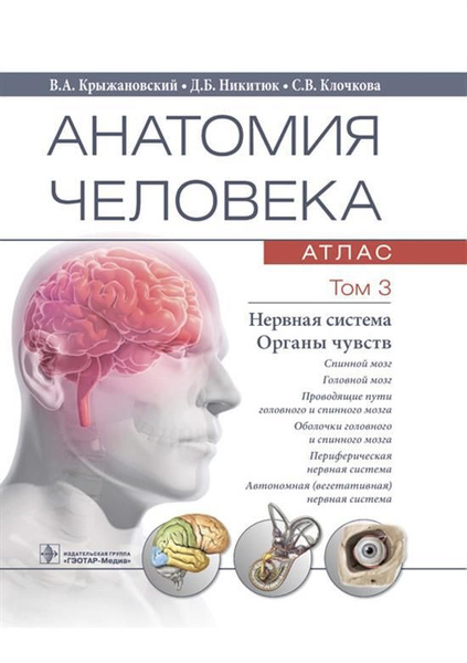 Анатомия человека: в 3 т. Т. 3. Нервная система. Органы чувств - купить ...