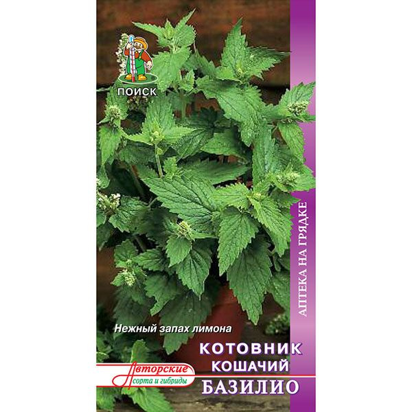 9538_Котовник кошачий Базилио - купить по выгодным ценам в интернет ...