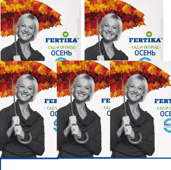 Удобрения Фертика сад огород осень (Fertika) - 25 кг ( 5 шт по 5 кг ) купить на OZON по низкой ...