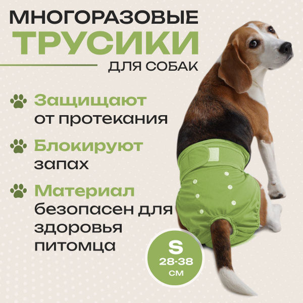 Трусы для собаки во время течки многоразовые S, подгузники для собак ...
