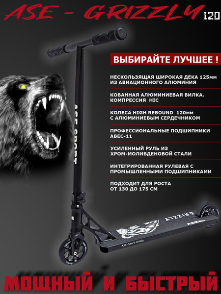 Самокат Трюковой ASE-SPORT ASE-Stunt-Grizzly-120, - купить по выгодной ...