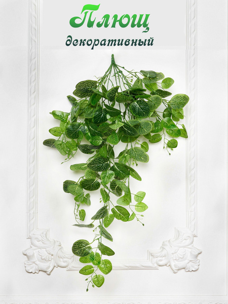 Купить Лиана для декора свисающая зелень плющ по выгодной цене в интернет магазине