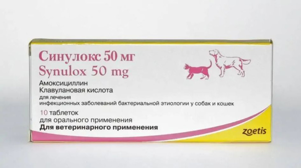 Синулокс таблетки, уп. 10 таб. по 50 мг - купить с доставкой по ...