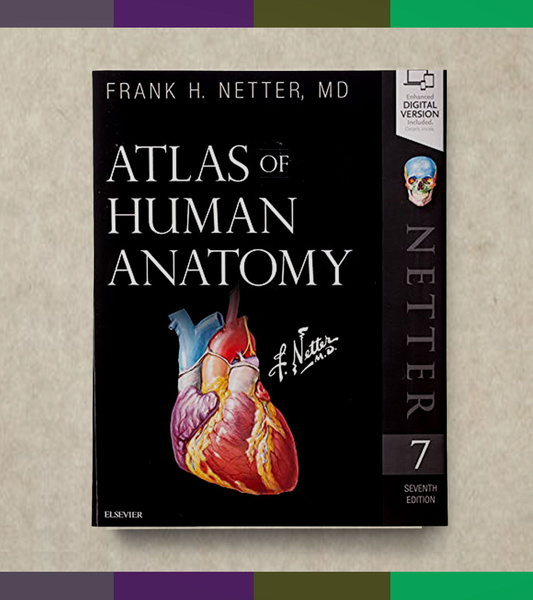 Atlas of Human Anatomy (Netter Basic Science) 7th купить на OZON по ...