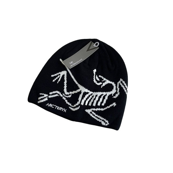 Шапка Arcteryx - купить с доставкой по выгодным ценам в интернет ...
