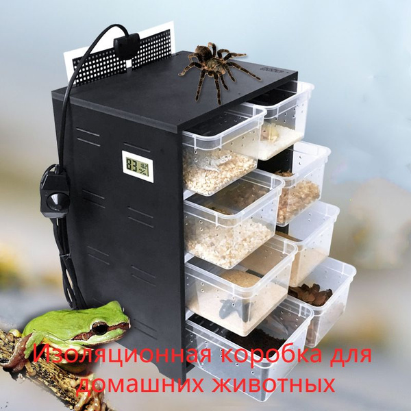 Изоляционный бокс для разведения ползающих домашних животных - купить с ...