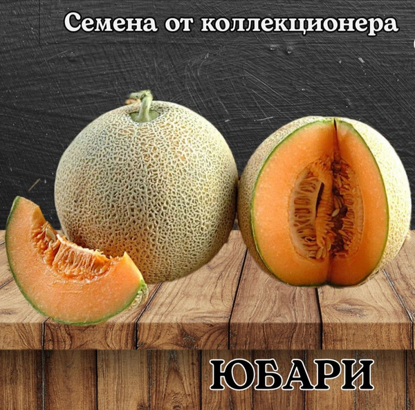 Дыни дыни Японии - купить по выгодным ценам в интернет-магазине OZON ...