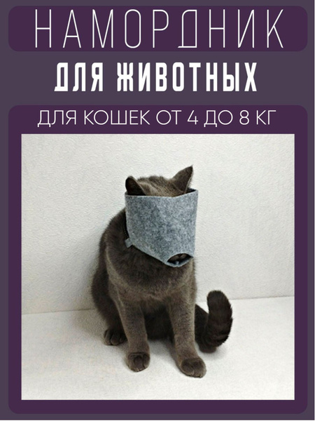 Намордник для кошек и котов от 4 кг до 8 кг, защита от кошек - купить с ...