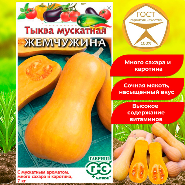 Тыквы Гавриш Тыква007 - купить по выгодным ценам в интернет-магазине ...