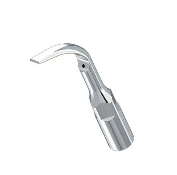 Насадка для скалера совместима с DTE GD2 - купить с доставкой по ...