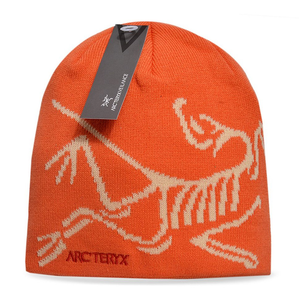 Шапка Arcteryx - купить с доставкой по выгодным ценам в интернет ...