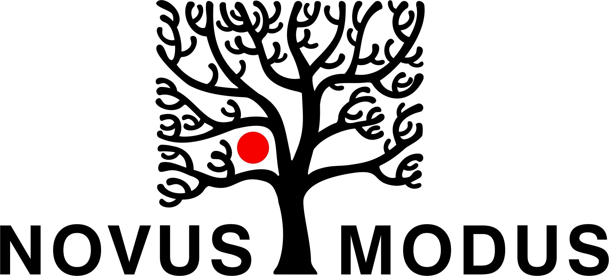 Novus Modus — купить товары Novus Modus в интернет-магазине OZON