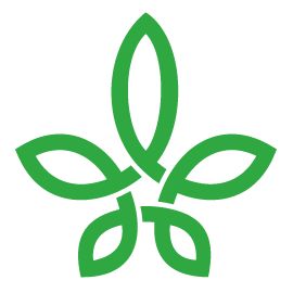 CBDS — купить товары CBDS на OZON