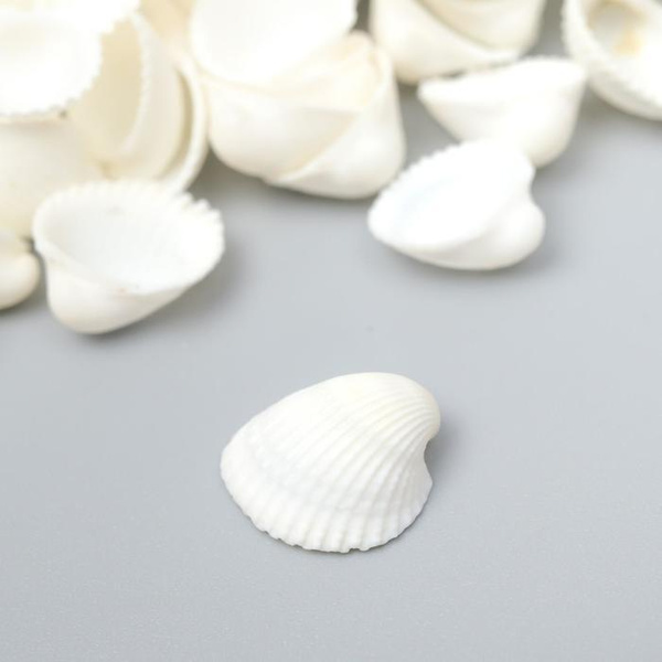 Декоративные ракушки "Clam Rose" 100 гр - купить с доставкой по ...