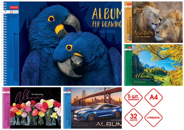 Набор альбомов для рисования Hatber 5 штук/5 дизайнов, 32 листа, формат А4, перфорация на отрыв ...