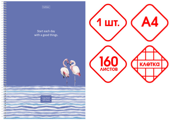 Тетрадь Hatber A4 (21 × 29.7 см), A4 (21 × 29.7 см), 1 шт., листов: 160 - купить с доставкой по ...